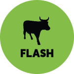 How to buy - Citiq Prepaid